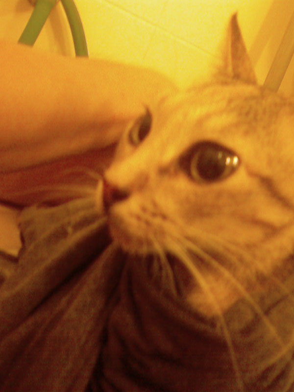 Medical subsidy for Ms Gingi (Lee Keng Seong's and Sandy Ooi's ...