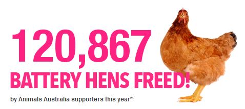 Make a pledge to save hens....today! - AnimalCare
