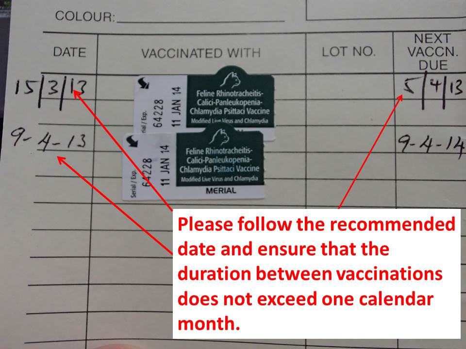 The vaccination schedule and our vaccination subsidies - AnimalCare