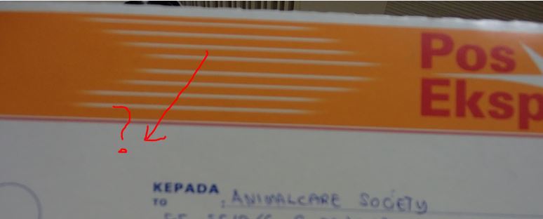 A note about Pos Ekspres and persistent late applications - AnimalCare