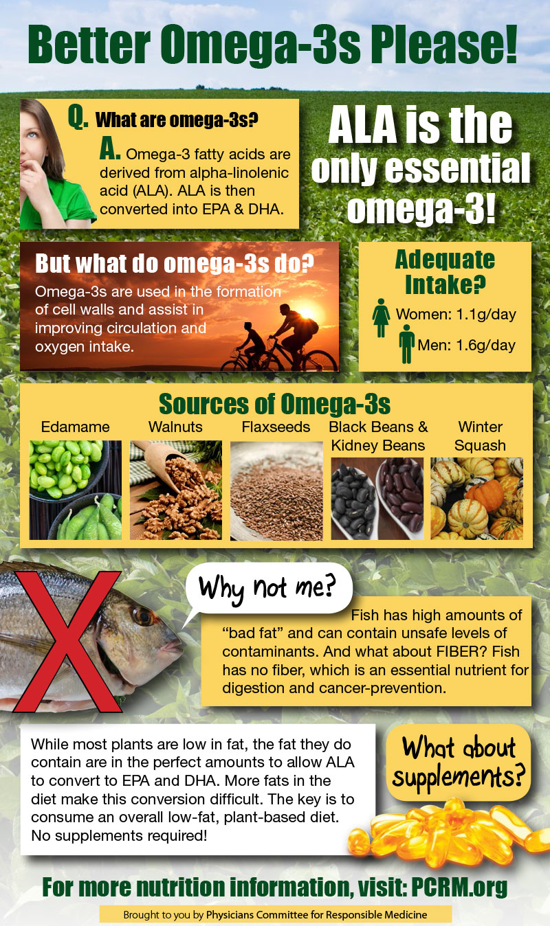 Plant-based omega-3 sources - AnimalCare