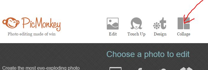 How to use picmonkey.com to compile photos - AnimalCare