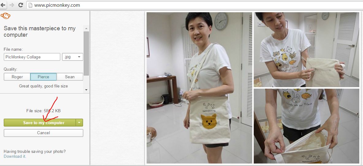 How to use picmonkey.com to compile photos - AnimalCare