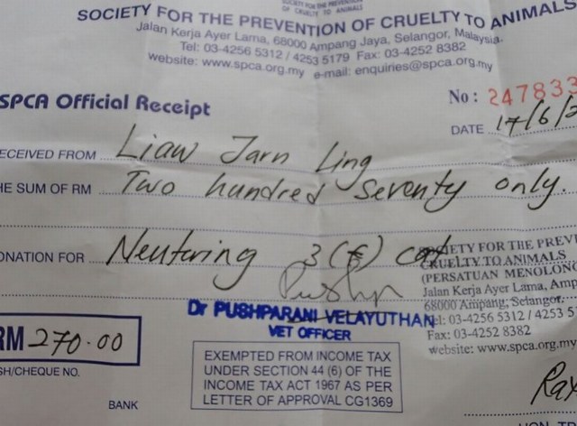 Spay-neuter subsidy for 4 cats in Bentong (Liaw Jarn Ling's) - AnimalCare