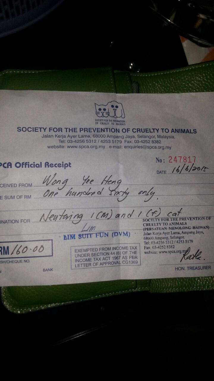 Spay-neuter sponsorship for 5 cats in KL (Wong Yee Heng & Chan Kwai ...