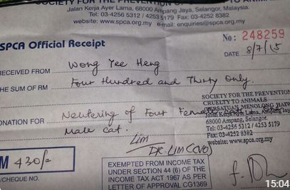 Spay-neuter sponsorship for 7 cats in KL (Wong Yee Heng & Chan Kwai ...
