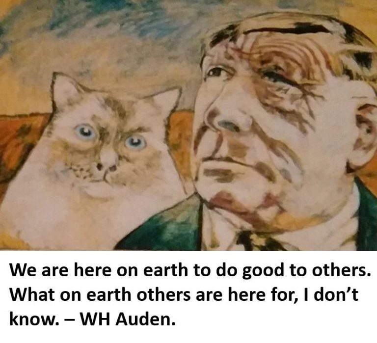 Animal abuse on the rise in Malaysia? - AnimalCare