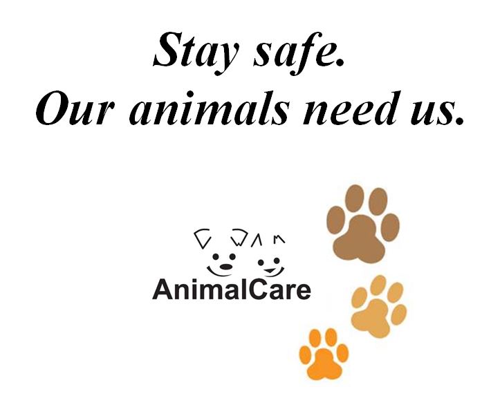 Please stay safe...for your animals - AnimalCare