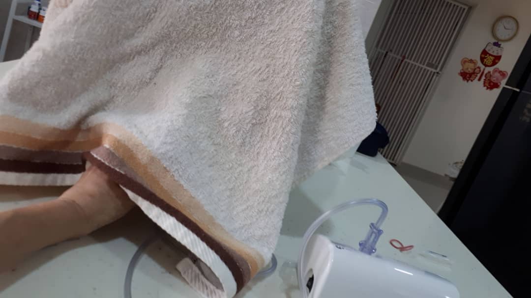 Ginger's 2nd home nebulization - AnimalCare