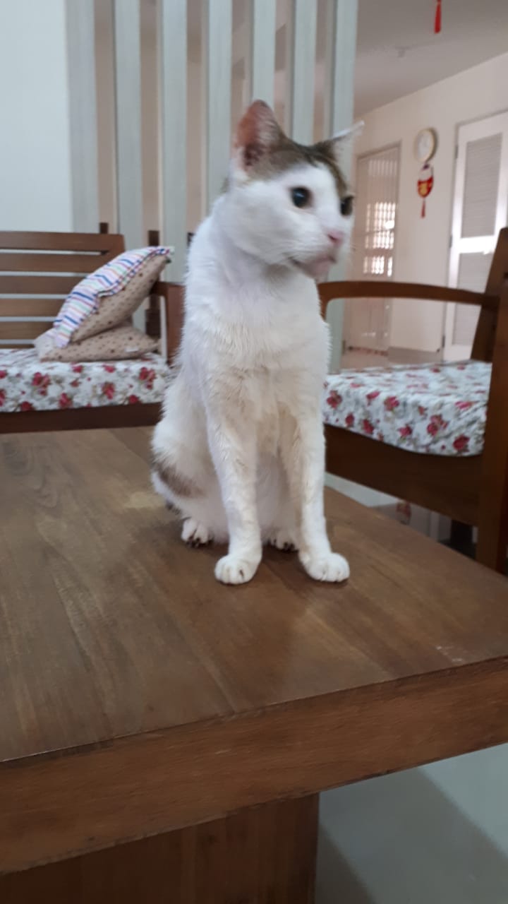 Bunny's Poopy Gallery - AnimalCare