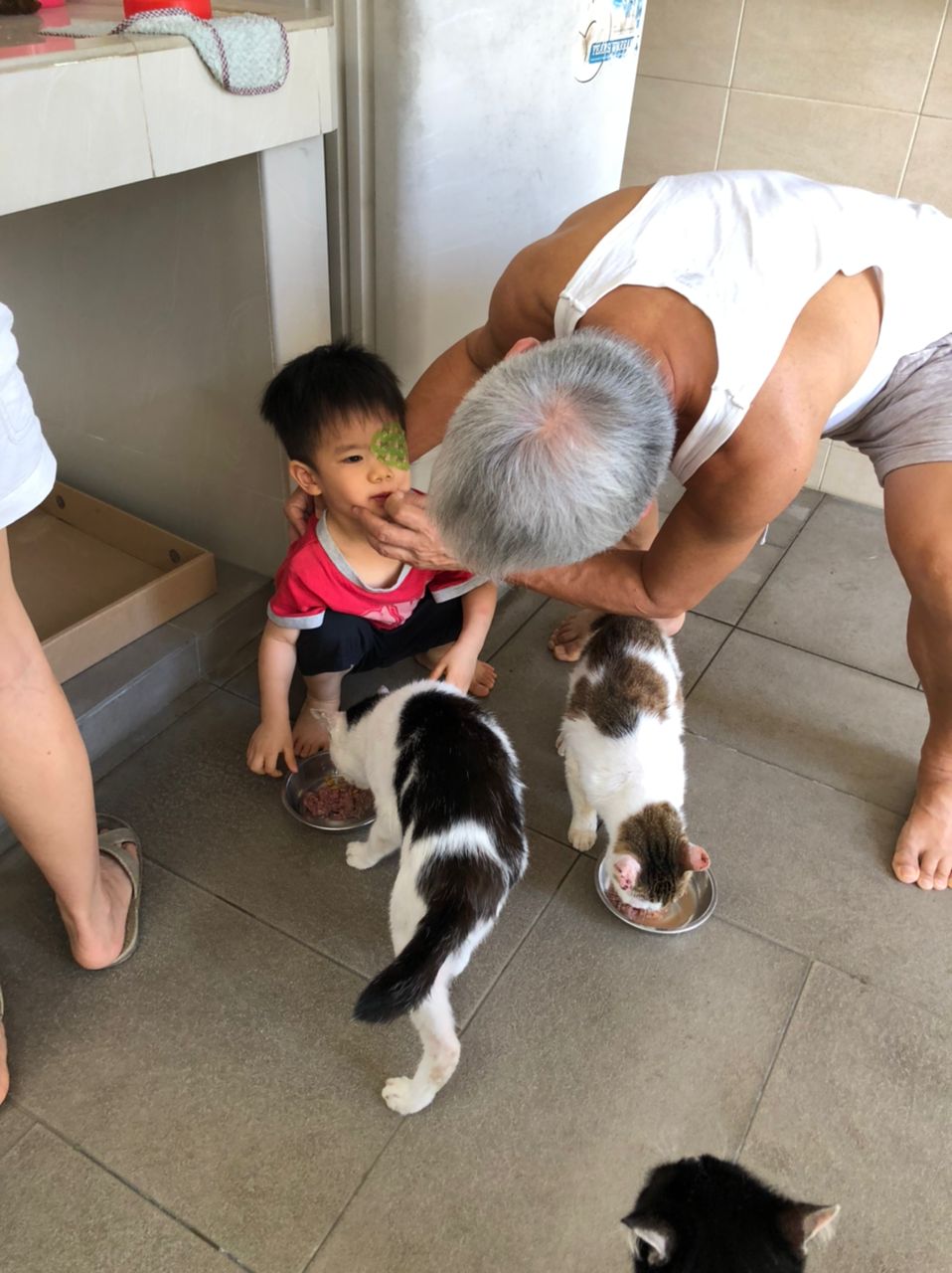 The day Ryan ate cat kibble! - AnimalCare