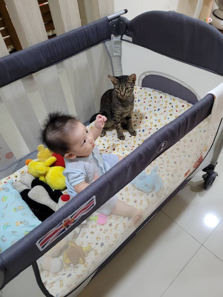 Jayden and his new kindy friend, Robin - AnimalCare