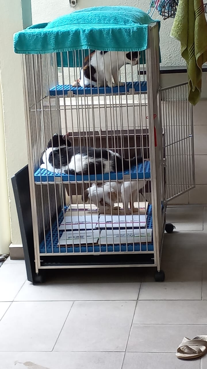 Two new cages - AnimalCare