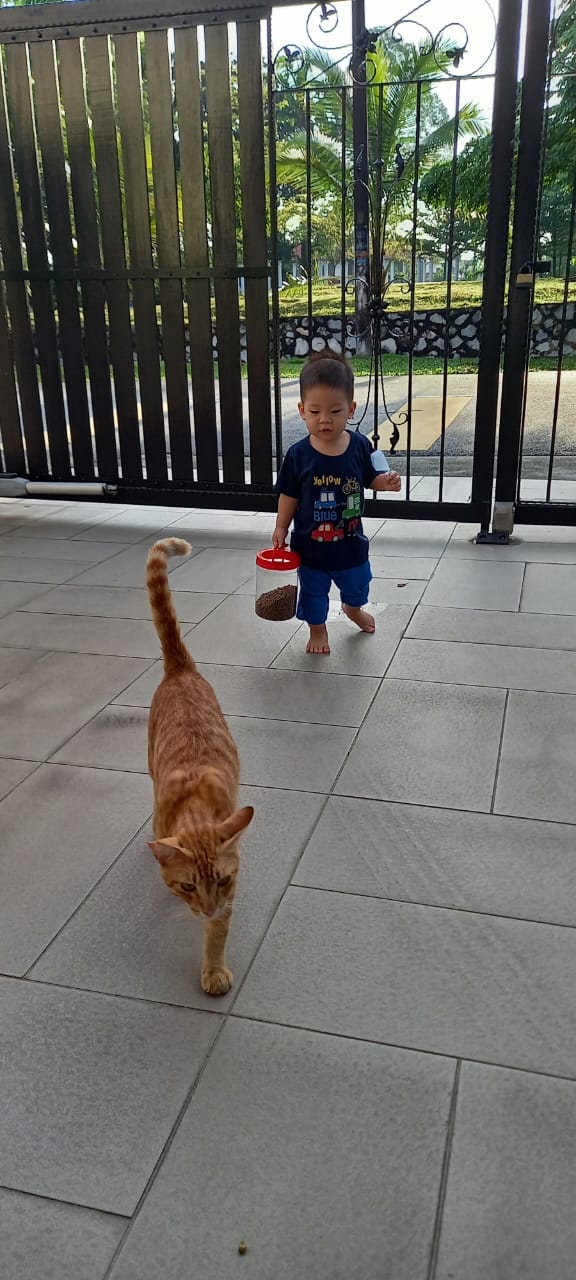 Jayden, the youngest street cat feeder here! - AnimalCare