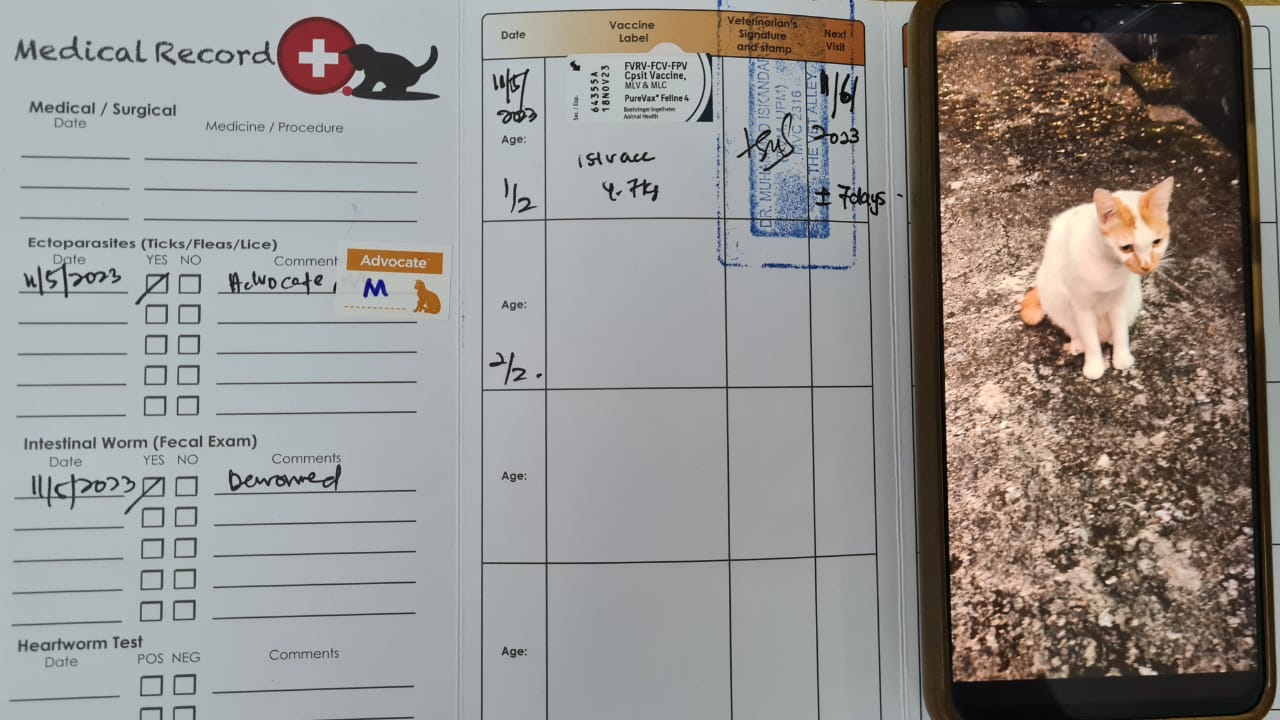 Vaccination aid for 1 cat in Subang Jaya (Liang Wei Fung's) & Updates ...