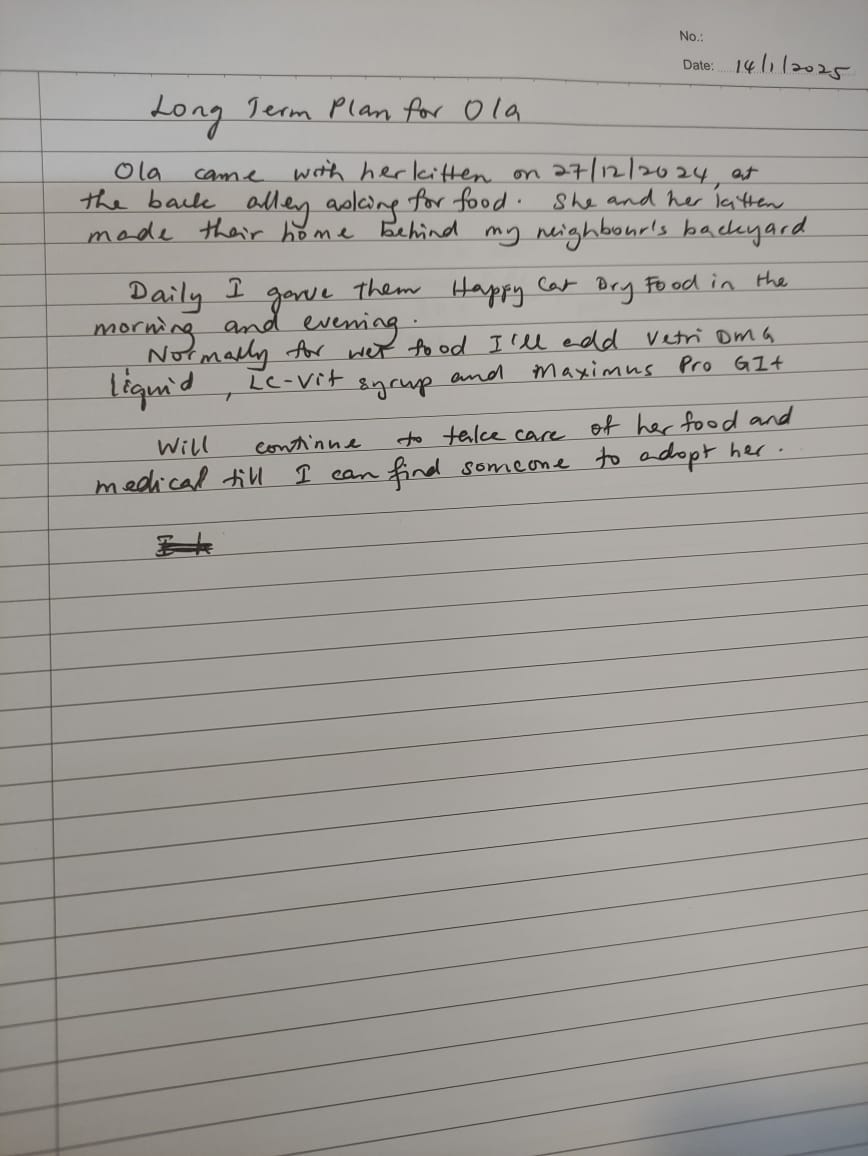 Neutering aid for 1 cat in Subang Jaya (Liang Wei Fung's) & Updates ...